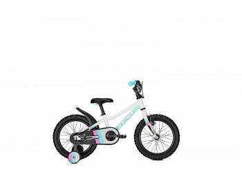 Focus RAVEN ROOKIE 16 / Dla najmłodszych / Rowery dziecięce / Katalog ...